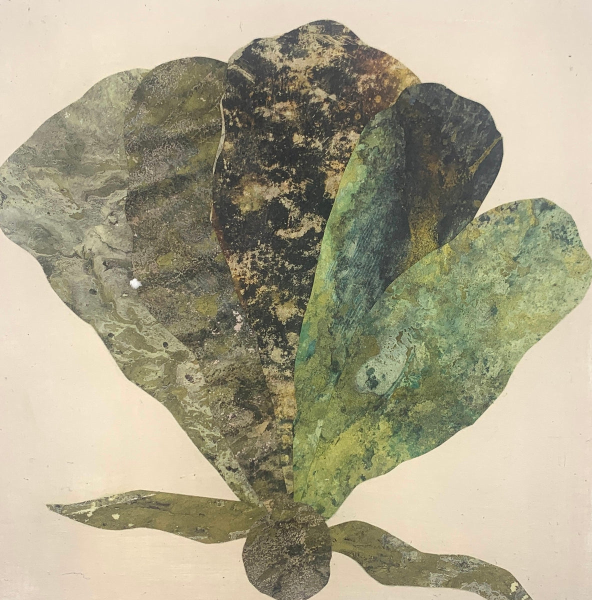 Sea Fan 3 by Sunny Chapman – Curina