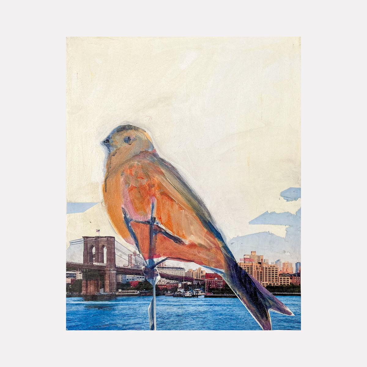Sparrow by Chris Baily – Curina