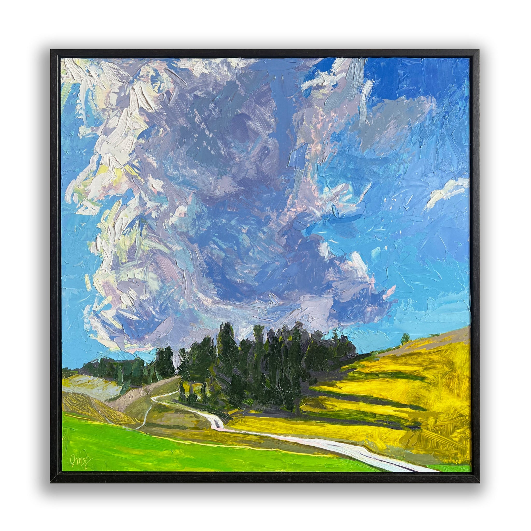 Alpine Slide by Justin Shull – Curina