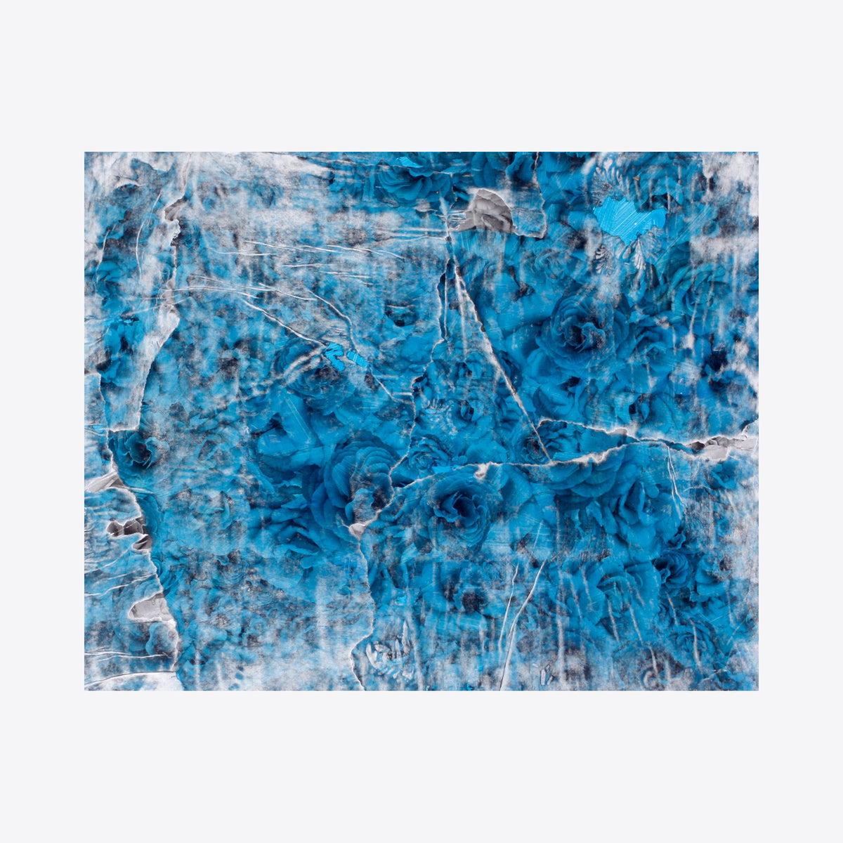 Cerulean Roses by Aaron HIllebrand – Curina