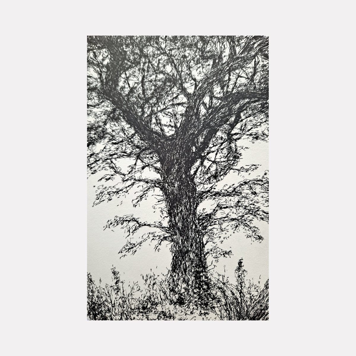 Trepid in the Topo (prep sketch) by Johanna Ryan – Curina